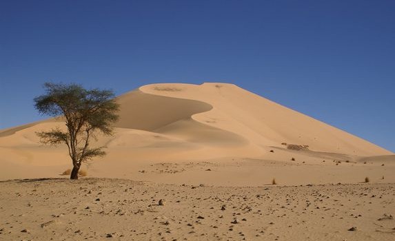 Home – NIGER – Club Qualitative Life